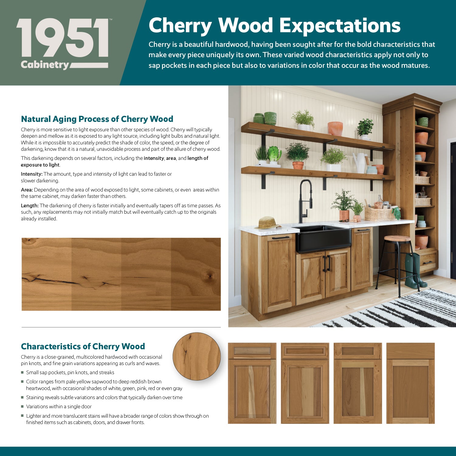 Expectation Sheet – 1951 Samples Order Form